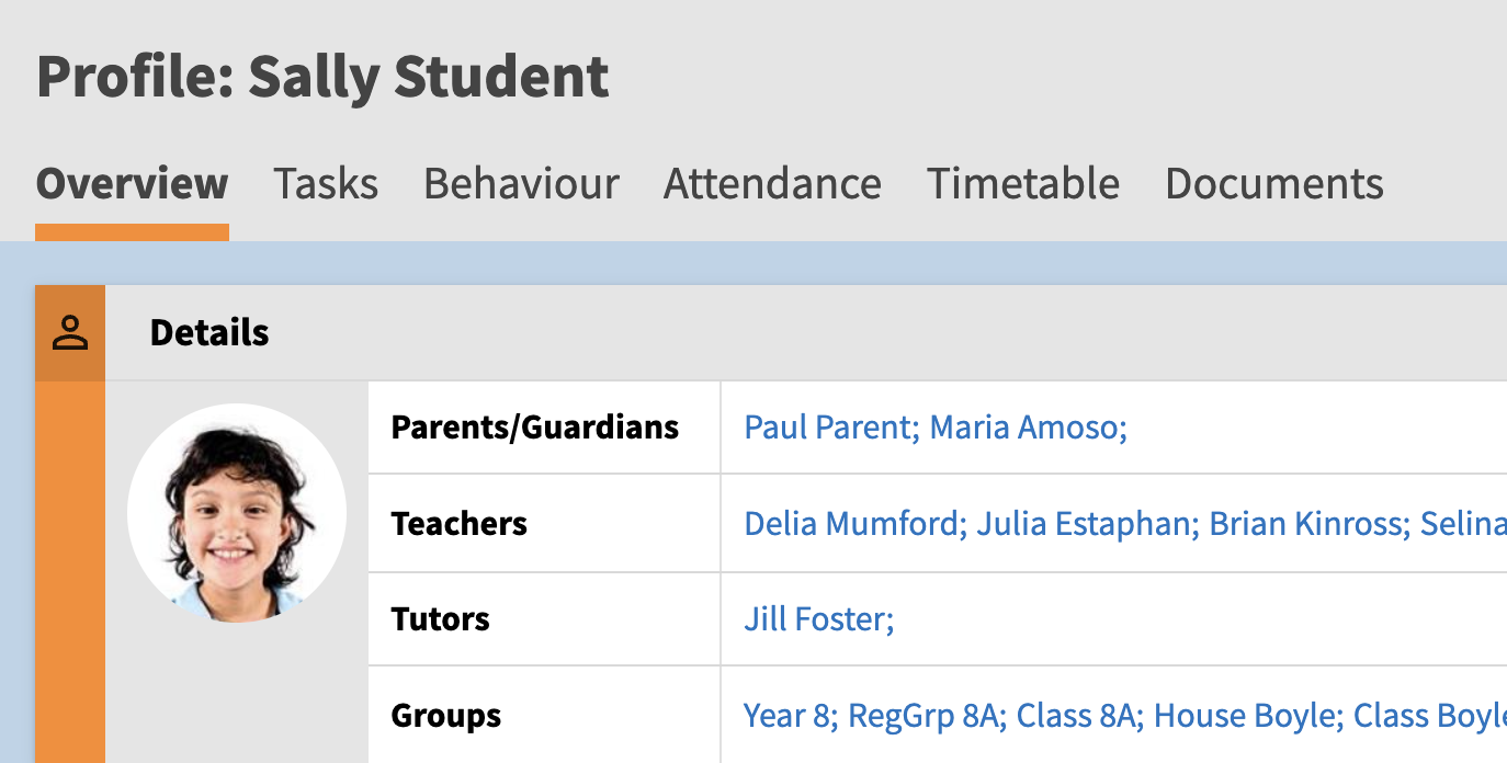 Firefly Theme Features